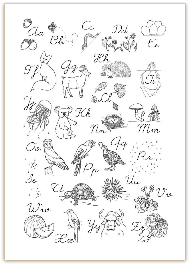 Nature Themed Alphabet Poster in Cursive - Etsy