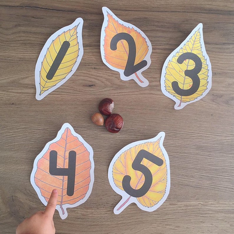 1-10 Large Autumn Coloured Leaves in Print - Etsy