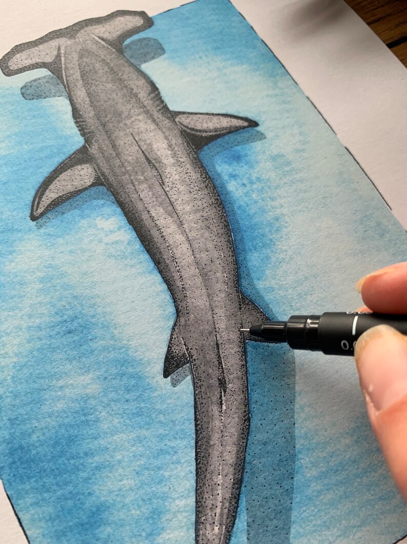 Hammerhead Shark Watercolour Print - Marine Themed Wall Art Home Design ...