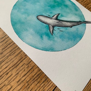 Reef Shark Watercolour Print - Marine Themed Wall Art Home Design - Etsy