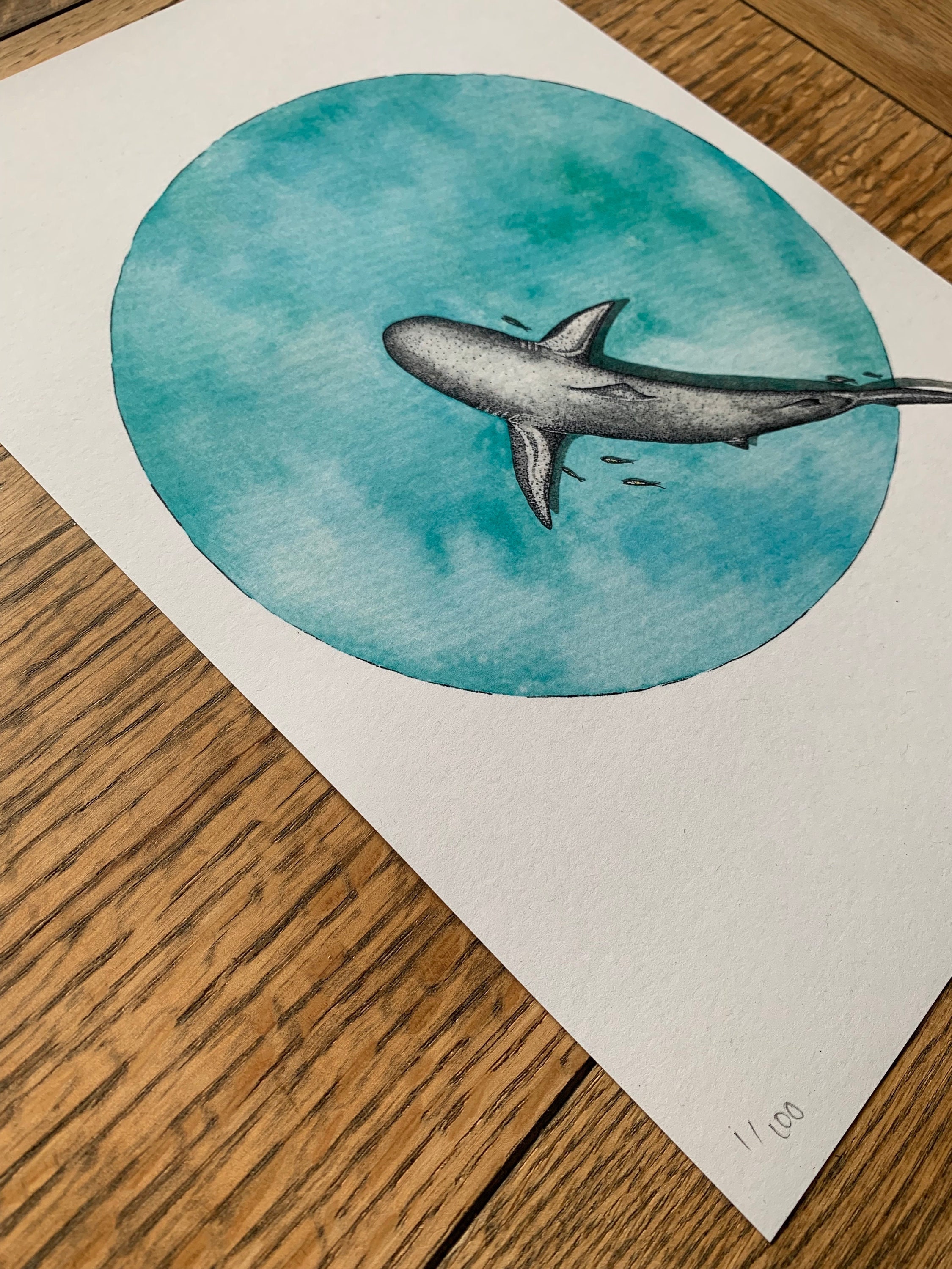 Reef Shark Watercolour Print Marine Themed Wall Art Home - Etsy