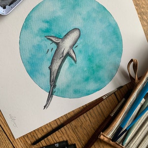 Reef Shark Watercolour Print - Marine Themed Wall Art Home Design - Etsy