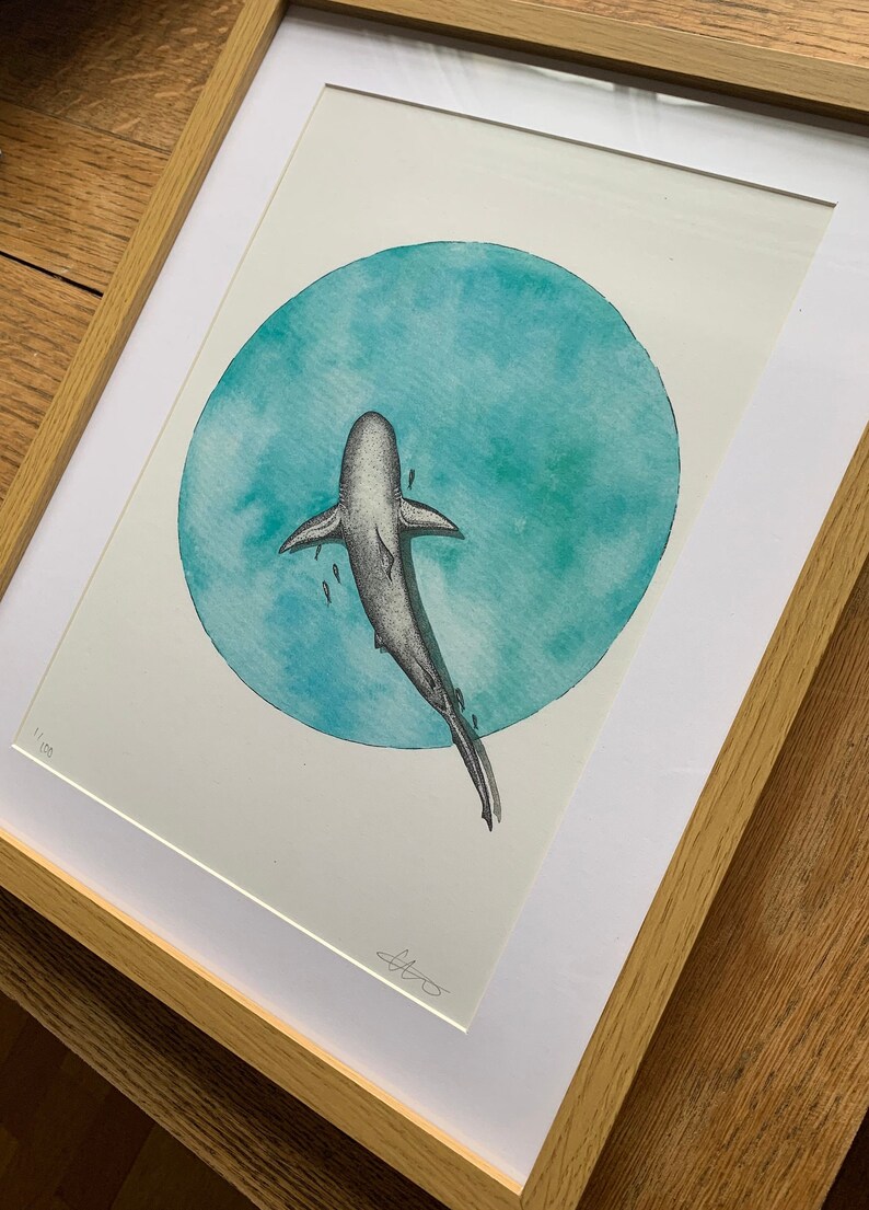 Reef Shark Watercolour Print - Marine Themed Wall Art Home Design - Etsy