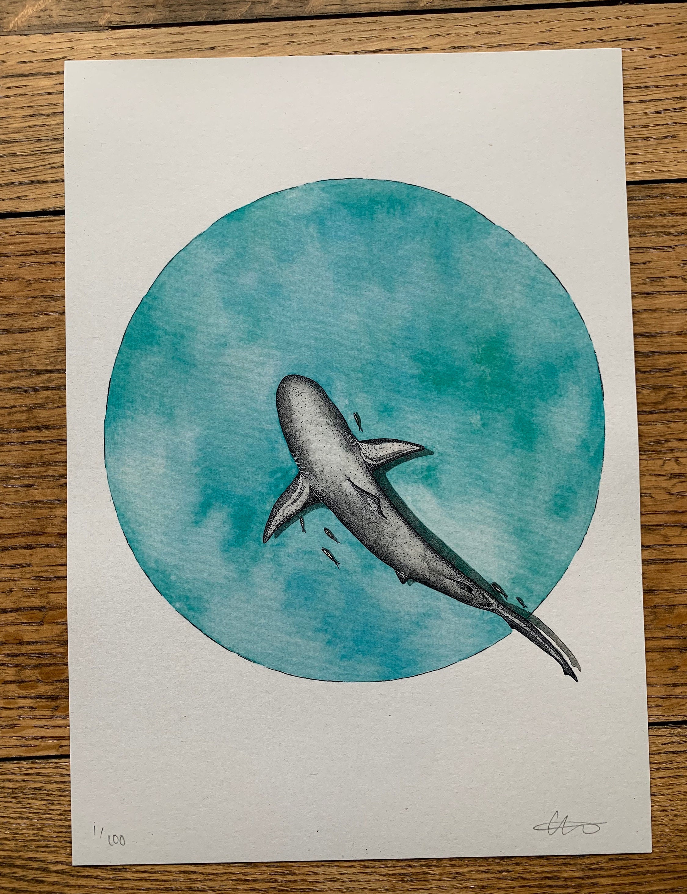 Reef Shark Watercolour Print - Marine Themed Wall Art Home Design - Etsy