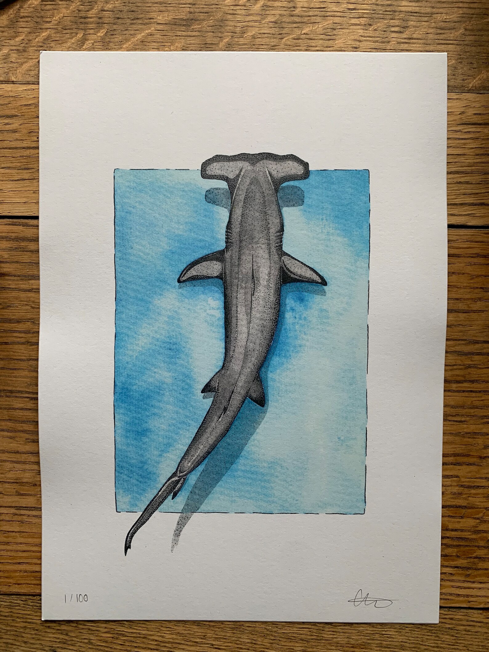 Hammerhead Shark Watercolour Print - Marine Themed Wall Art Home Design ...