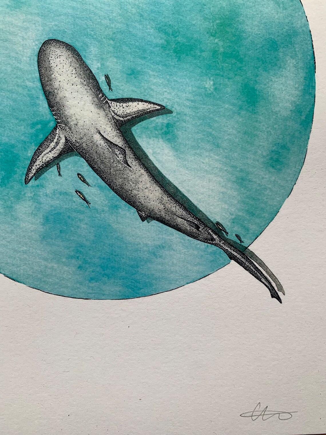 Reef Shark Watercolour Print Marine Themed Wall Art Home - Etsy