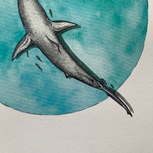 Reef Shark Watercolour Print - Marine Themed Wall Art Home Design - Etsy