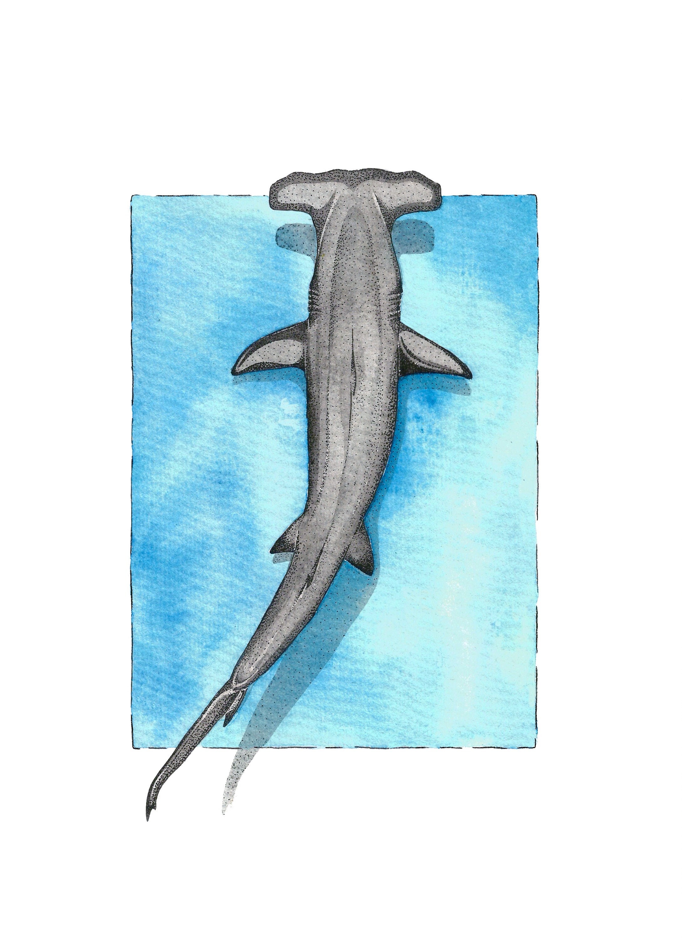 Hammerhead Shark Watercolour Print - Marine Themed Wall Art Home Design ...