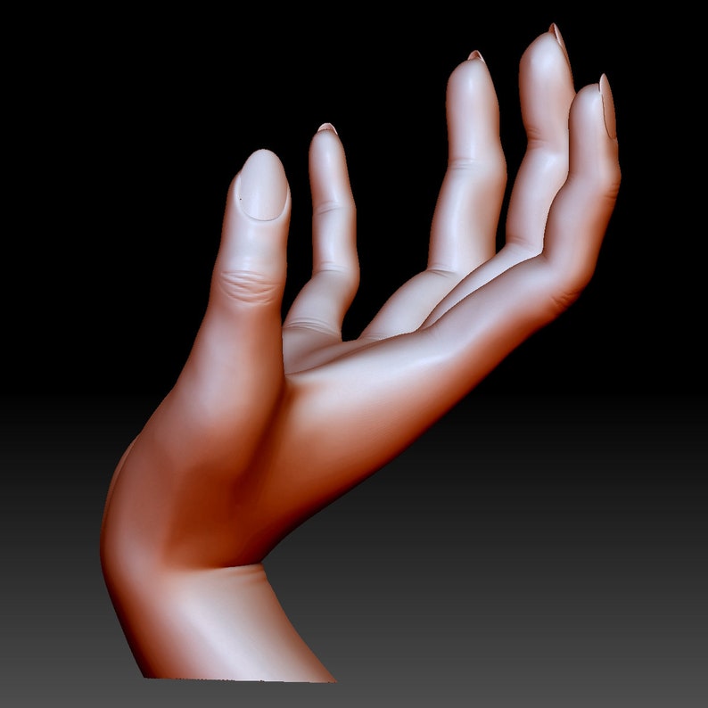 stl-file-for-3d-printing-hand-holding-3d-printable-model-etsy