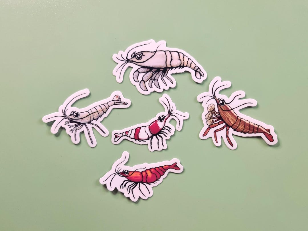 Aquarium Shrimp Cute Vinyl Animal Stickers - Etsy