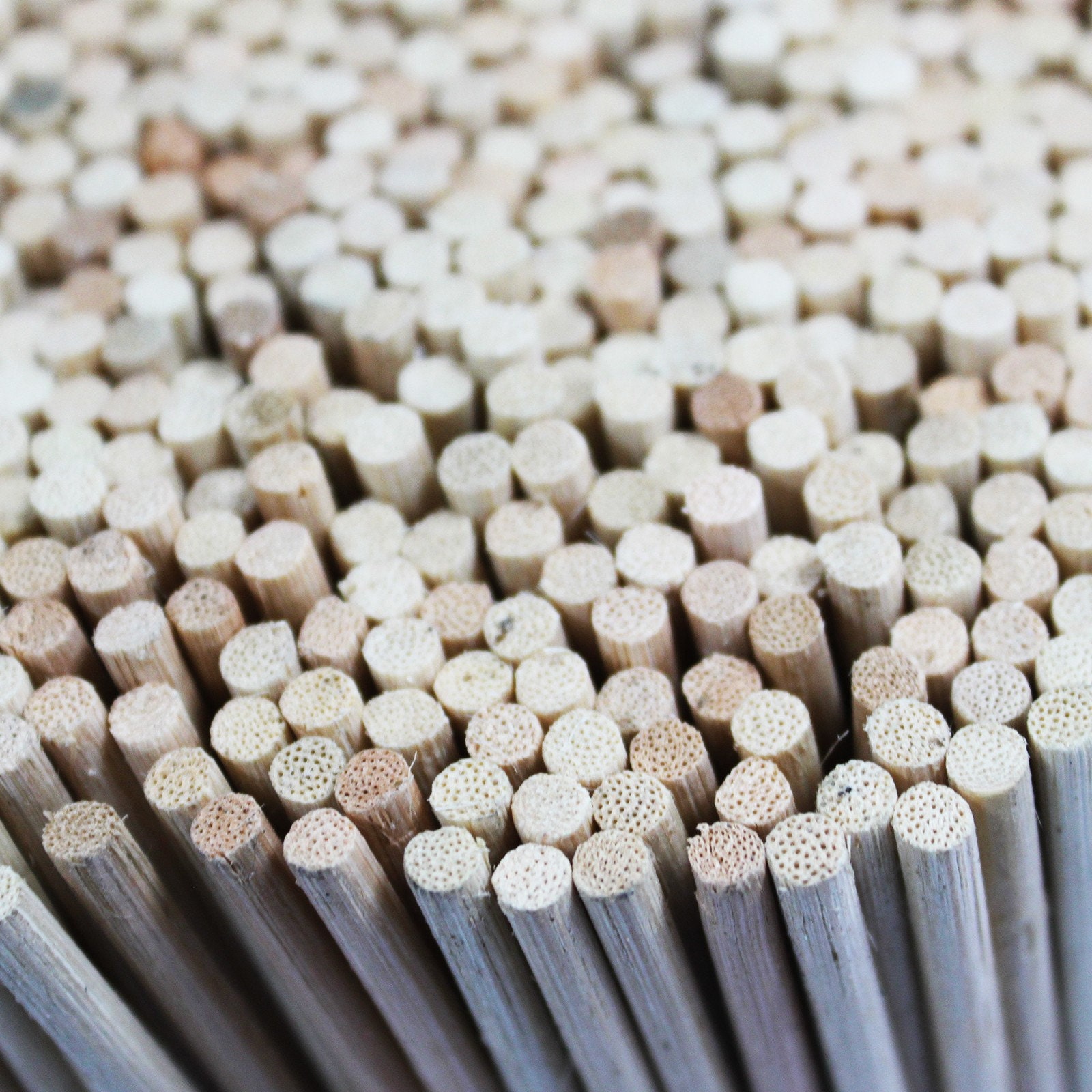 Natural Rattan Bamboo Diffuser Oil Replacement Reed Sticks - Etsy
