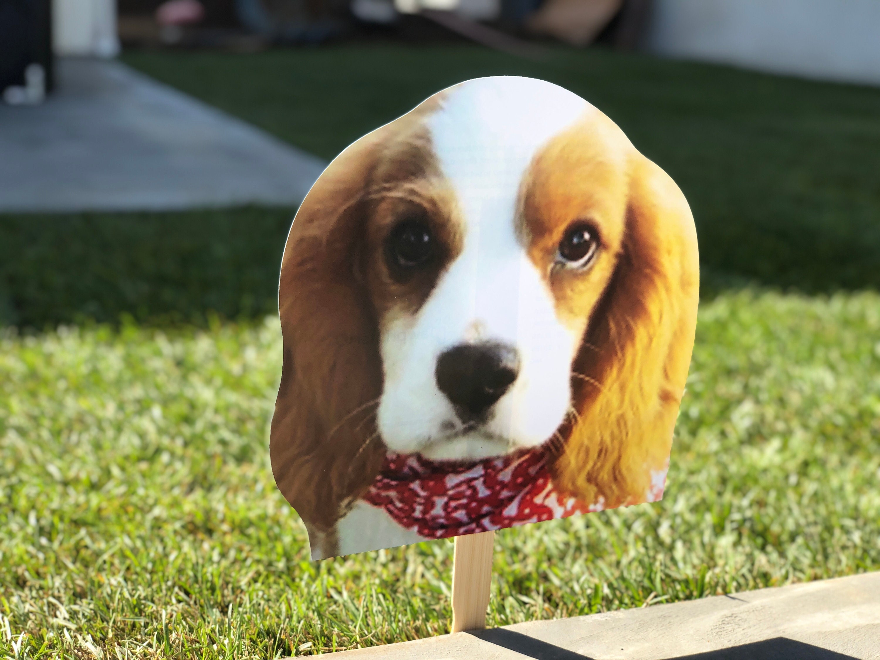 Custom Dog Head Cutouts | Take Your Dog With You Anywhere You Go - Etsy