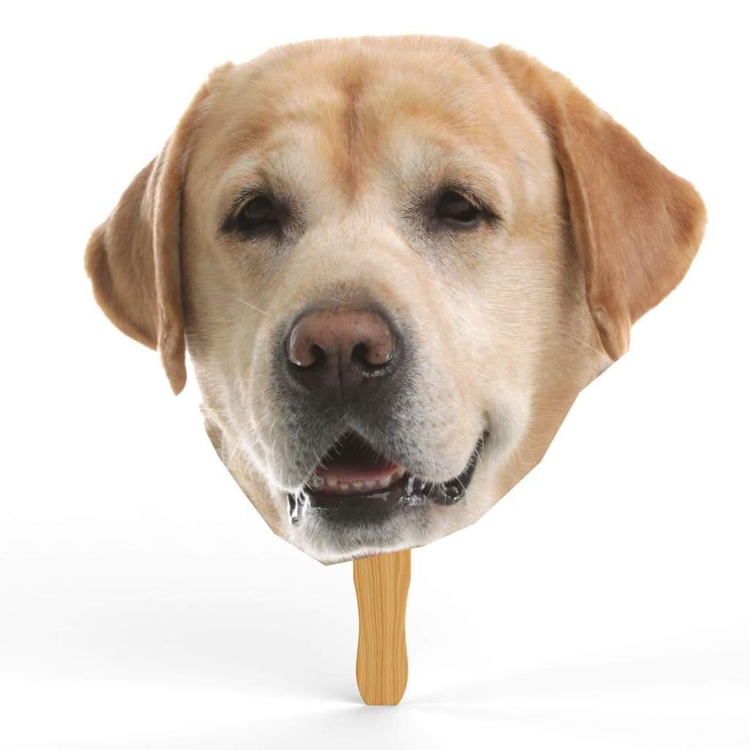 Big Head Labrador Retriever Cutouts - Etsy