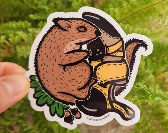 Climbing Shoe Vinyl Sticker - Etsy