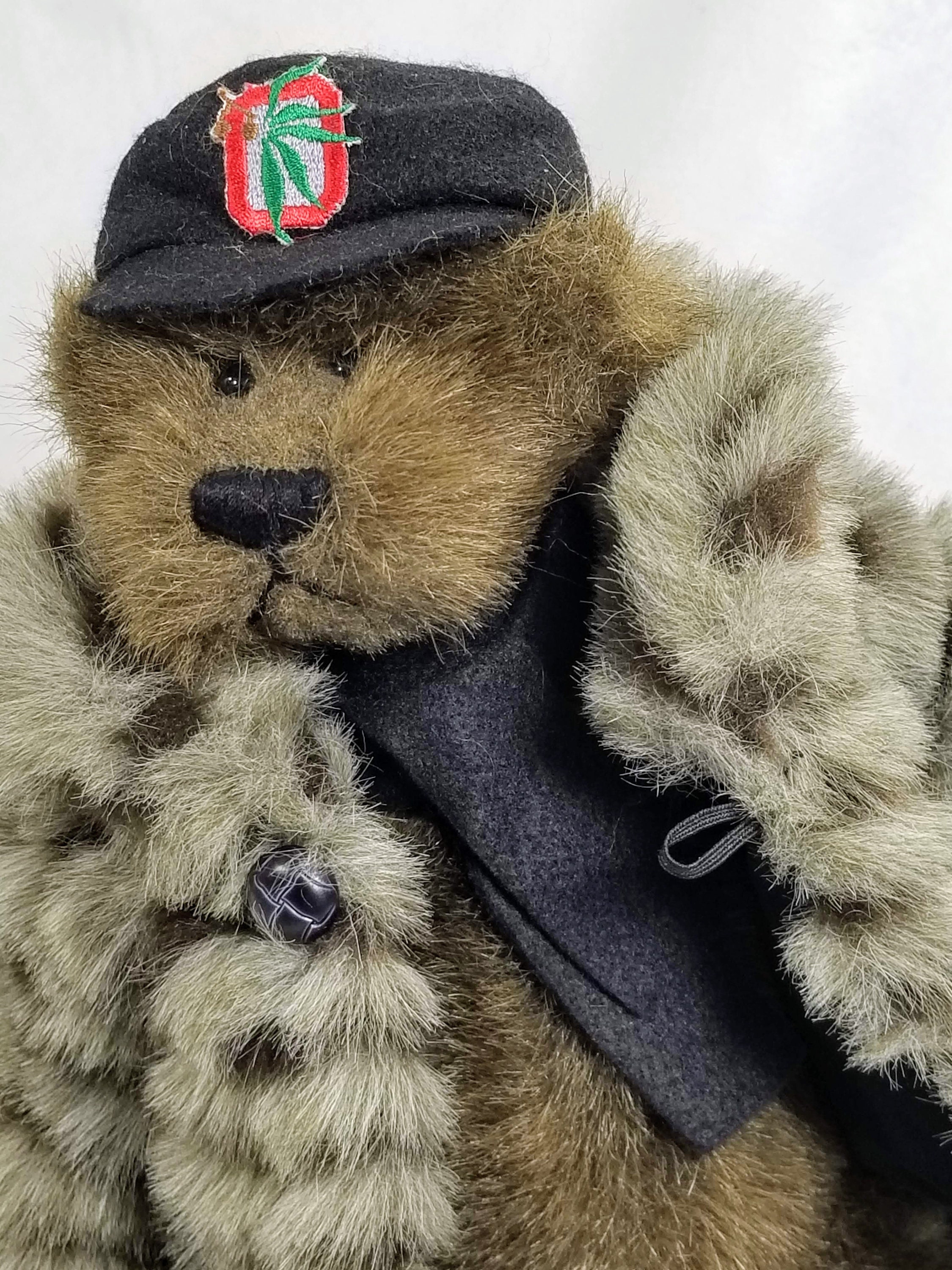 Unique Ohio State University Football Fan Teddy Bear in Fur Coat and ...