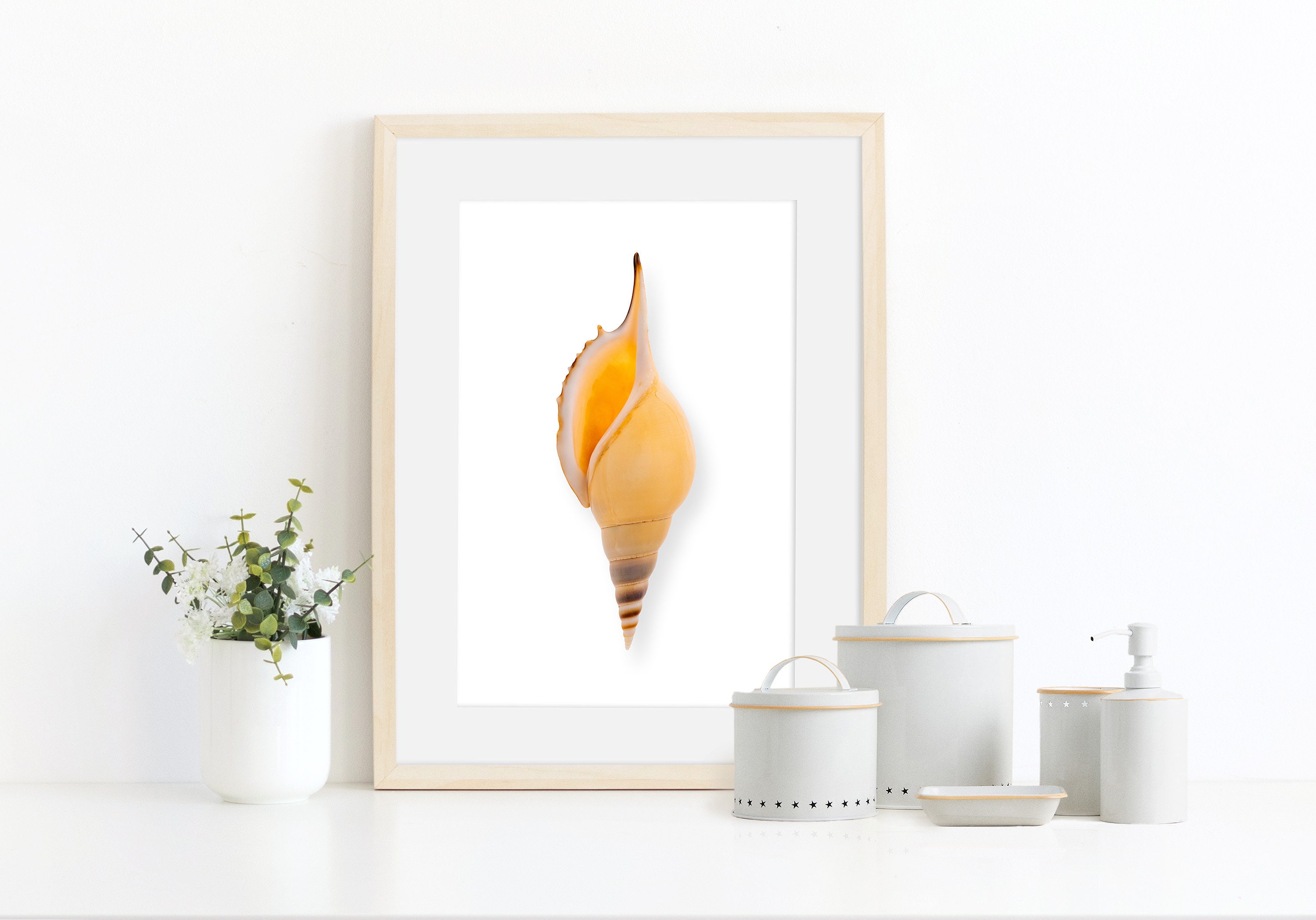 Downloadable and Printable Files Photo of Exotic Seashell on - Etsy