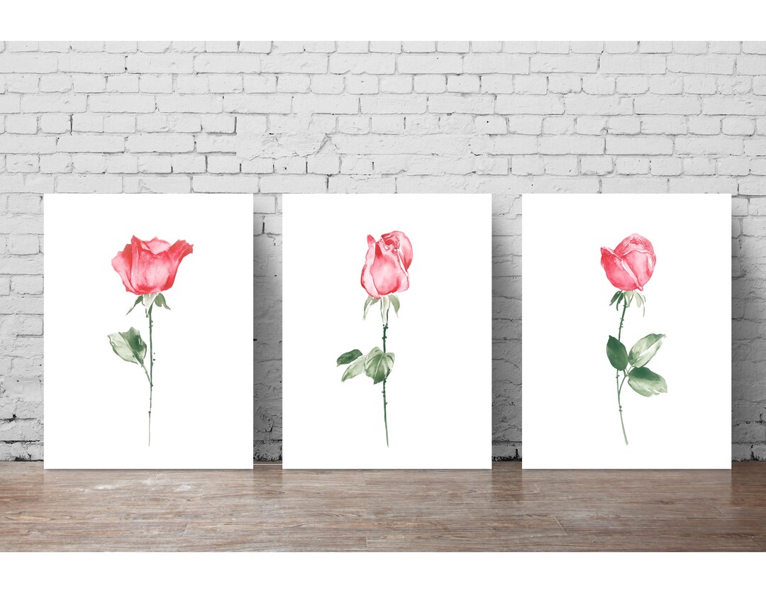 Pink Garden Roses Watercolor Print Set of 3, Roses Print Set, Flower ...