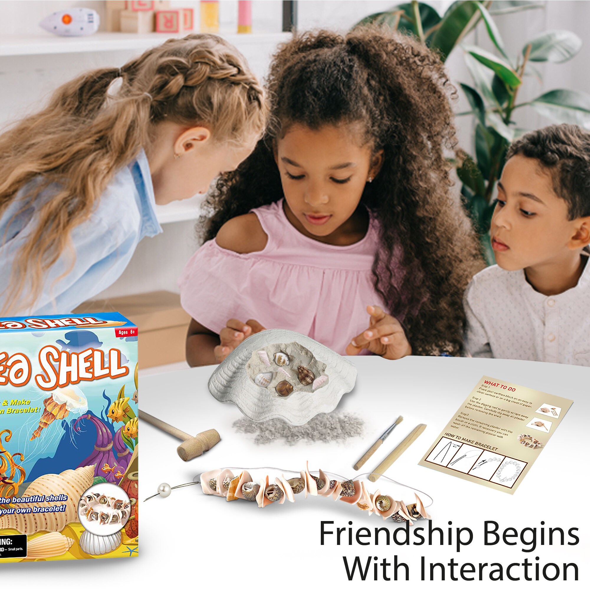 Buddy N Buddies Sea Shell Excavation Kits, Dig Out & Make Your Own ...
