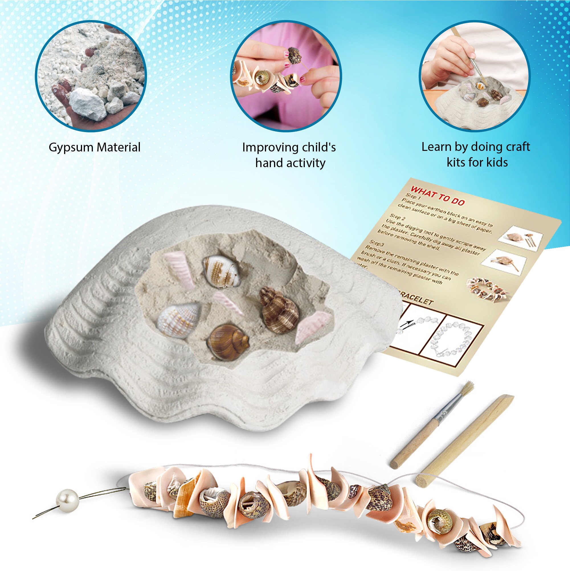 Buddy N Buddies Sea Shell Excavation Kits, Dig Out & Make Your Own ...