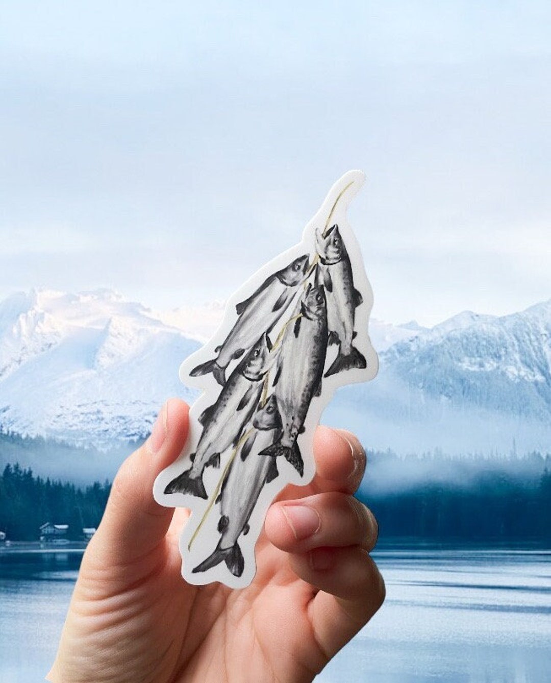 Salmon Stringer Sticker, Fishing Angling, Alaska Salmon, Pacific ...