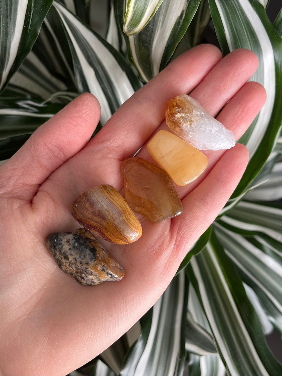 Courage & Determination Set of 5 Crystals Crazy Lace Agate, Honey Agate ...