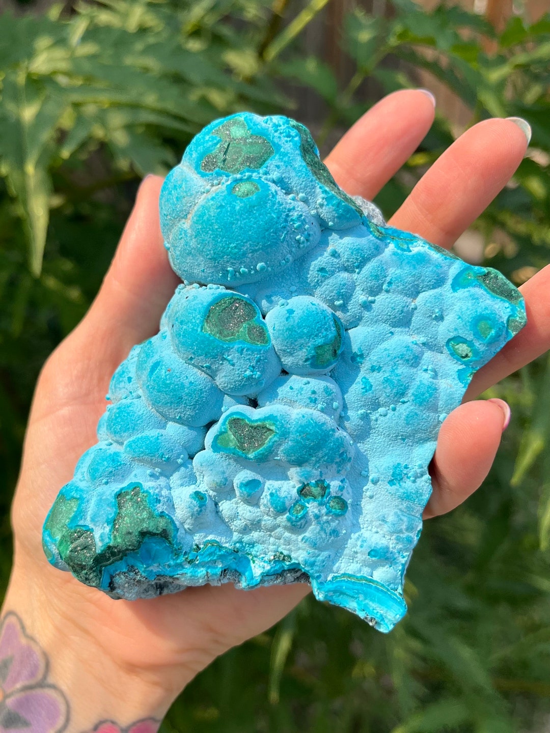 Rare Botryoidal Chrysocolla on Malachite Matrix Specimen, Raw ...