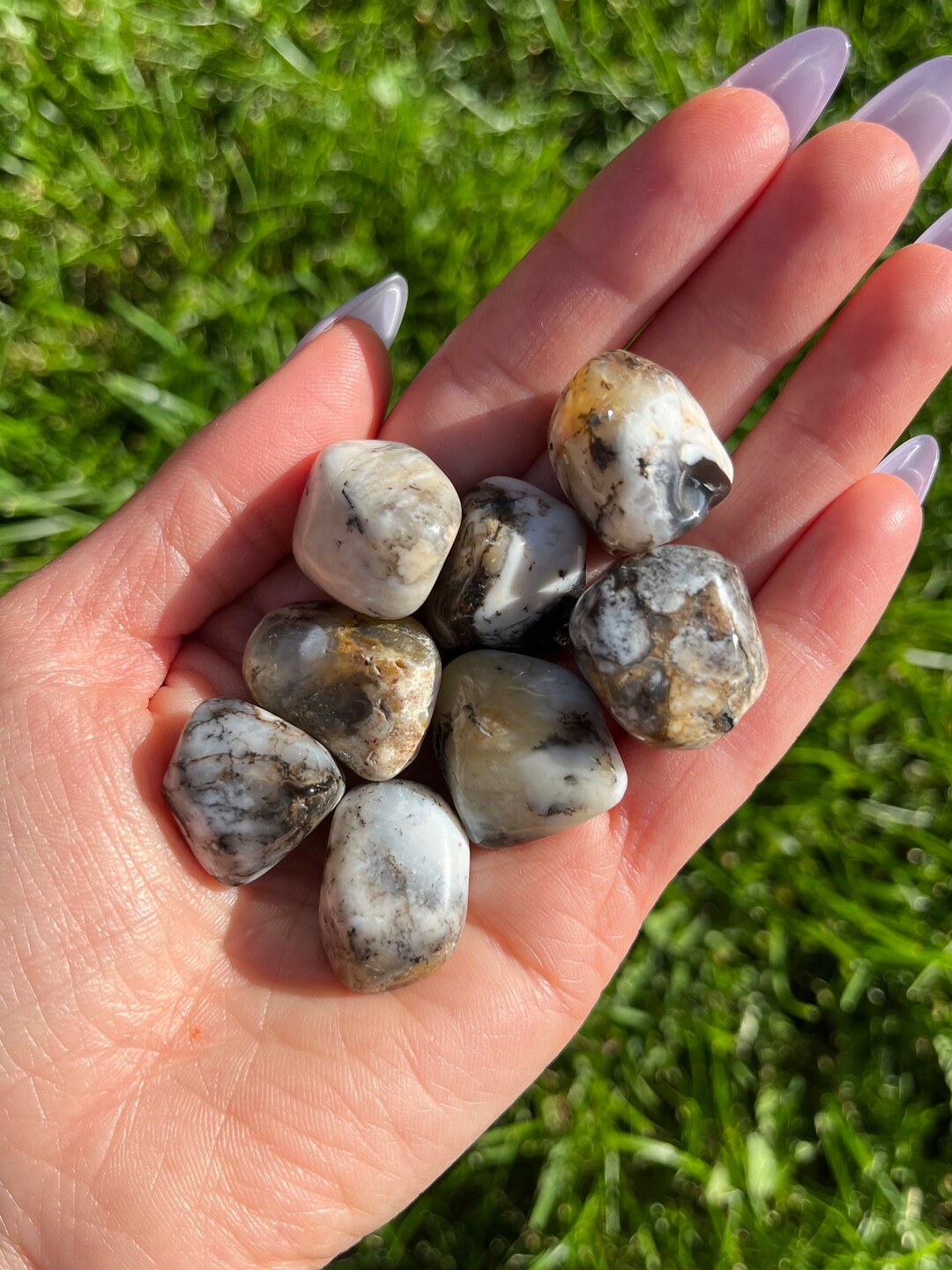 Opal Dendrites White & Yellow Opal With Dendrites Inclusions Infused ...