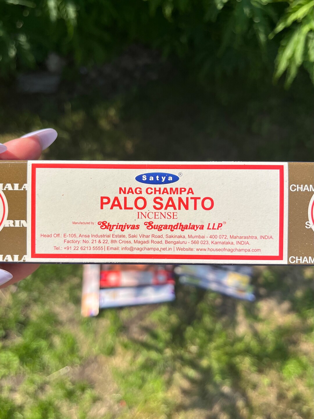 PALO SANTO Satya Incense Sticks Natural Satya Brand Incense 1 Box of 11 ...