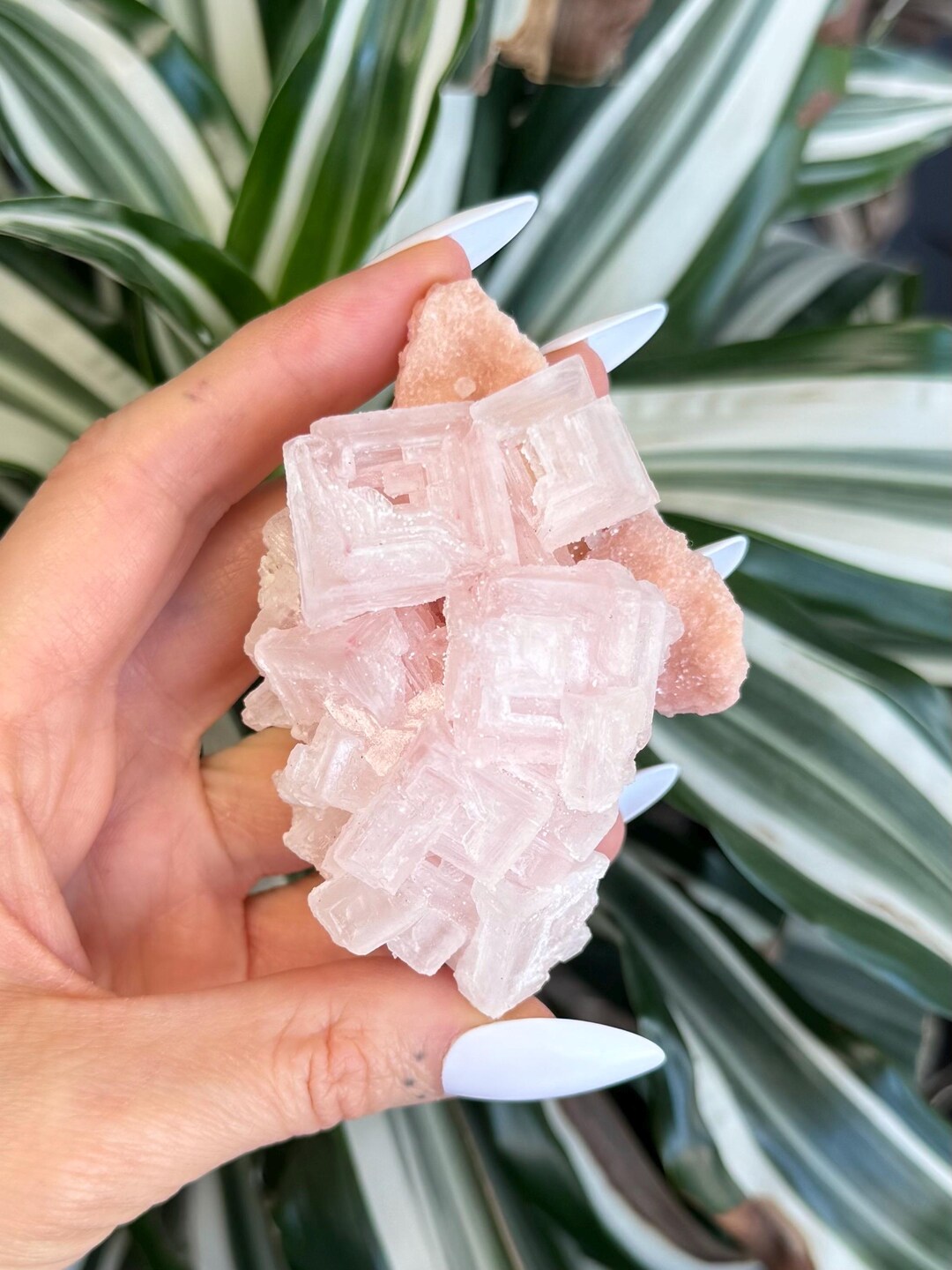 Natural Pink Halite Specimen With Trona - From California - Natural Raw ...