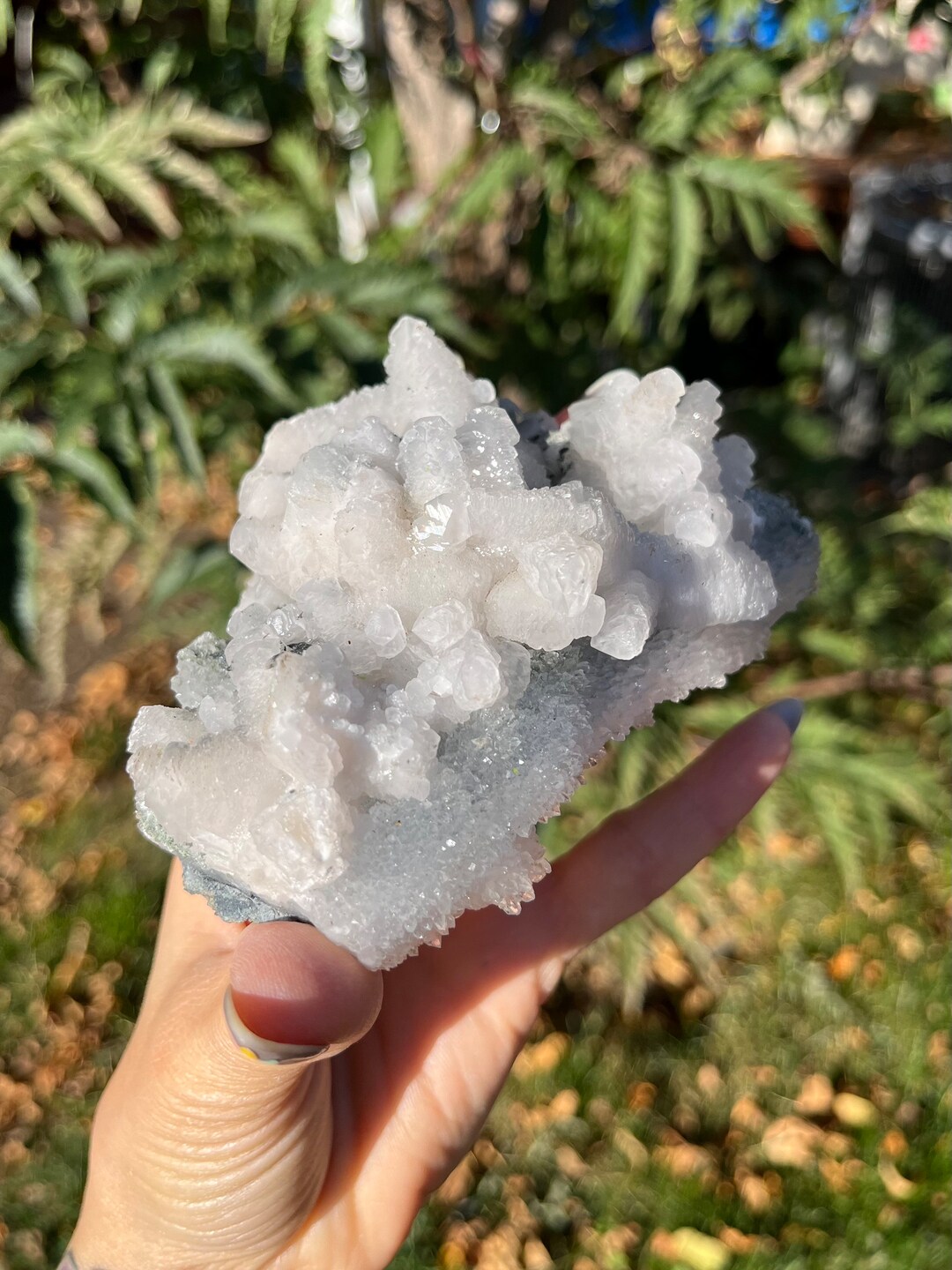 Pyramidal Calcite on Sphalerite Specimen, Collection Piece No. 624, UV ...