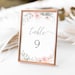 Floral Wedding Table Number Template: Blush Pink & Green (editable) - Etsy