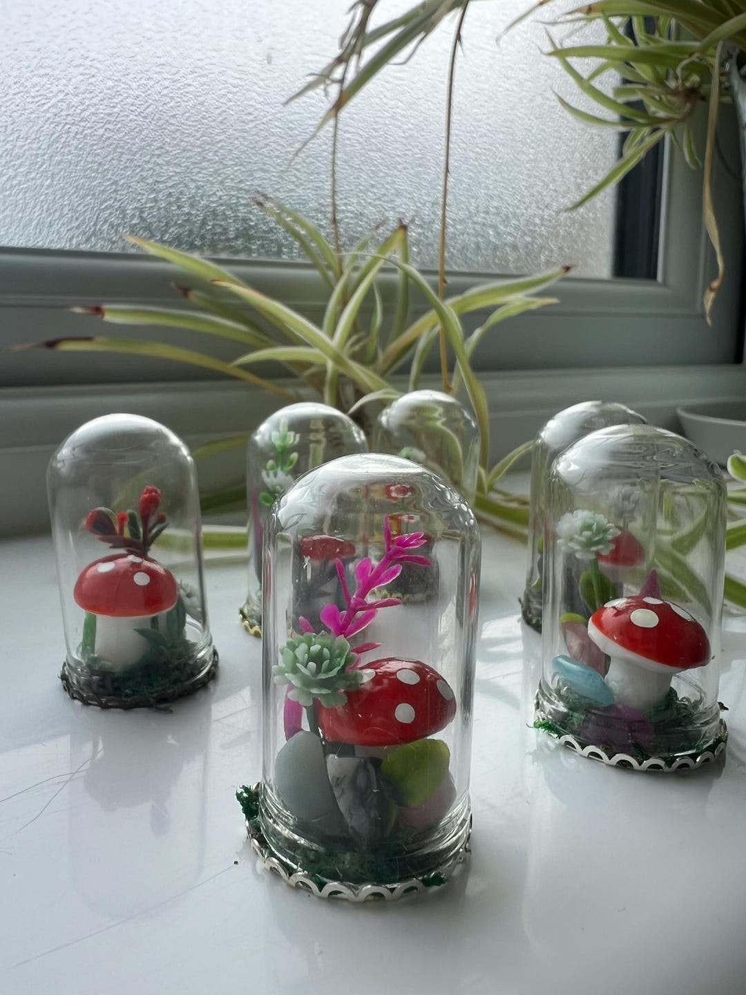 Magic Mini Glass Dome Cloche Mushroom/toadstool/artificial Flower ...