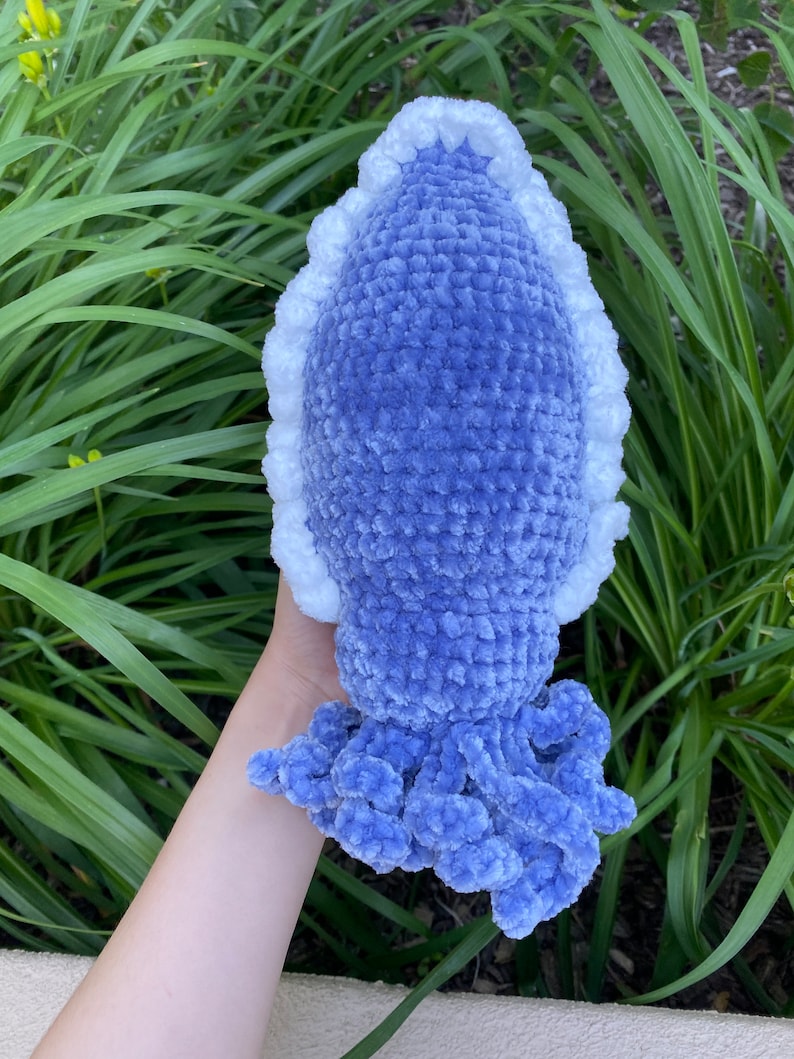 Cuttlefish Amigurumi Velvet Plushie | Crochet Cuttlefish | Marine ...