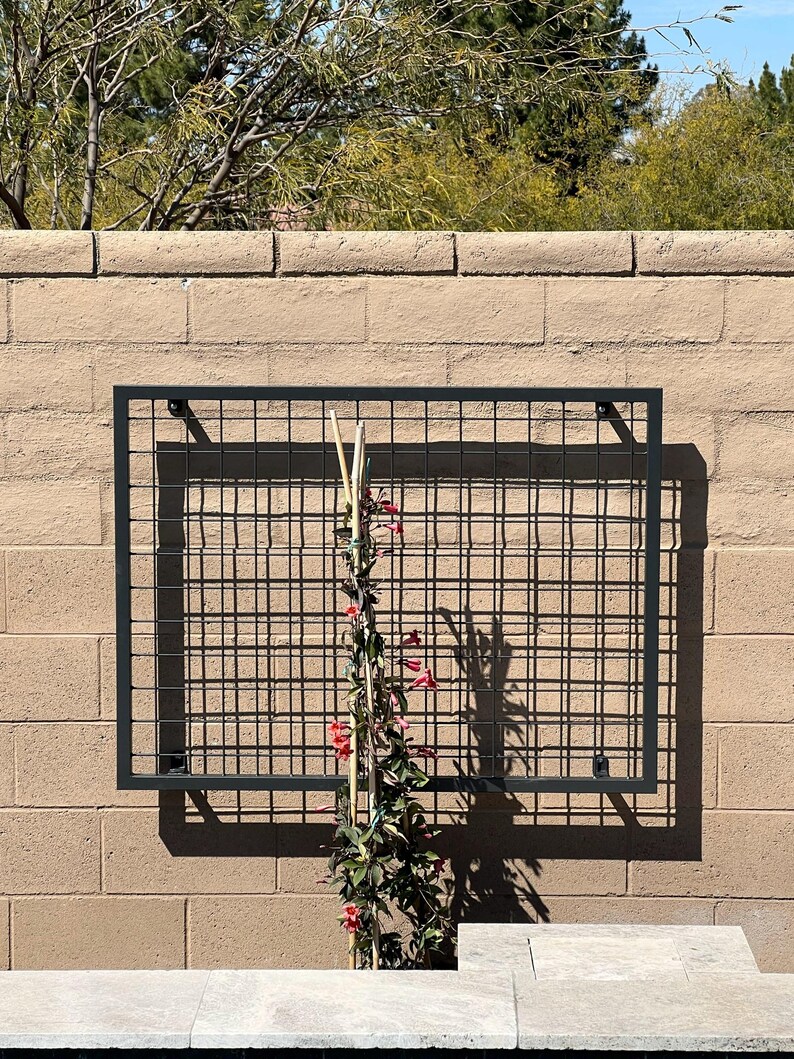Garden Screen Trellis - Etsy