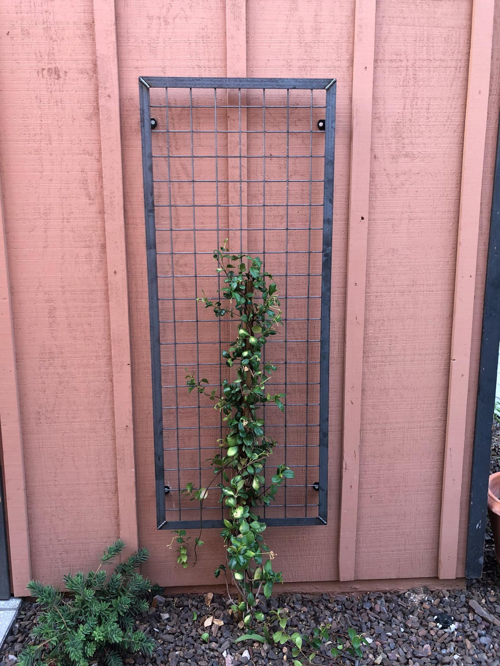 Garden Screen Trellis - Etsy