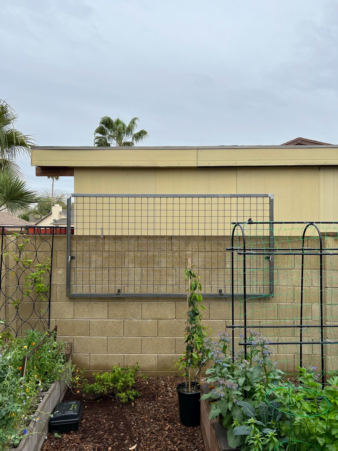 Garden Screen Trellis - Etsy