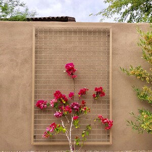 Garden Screen Trellis - Etsy
