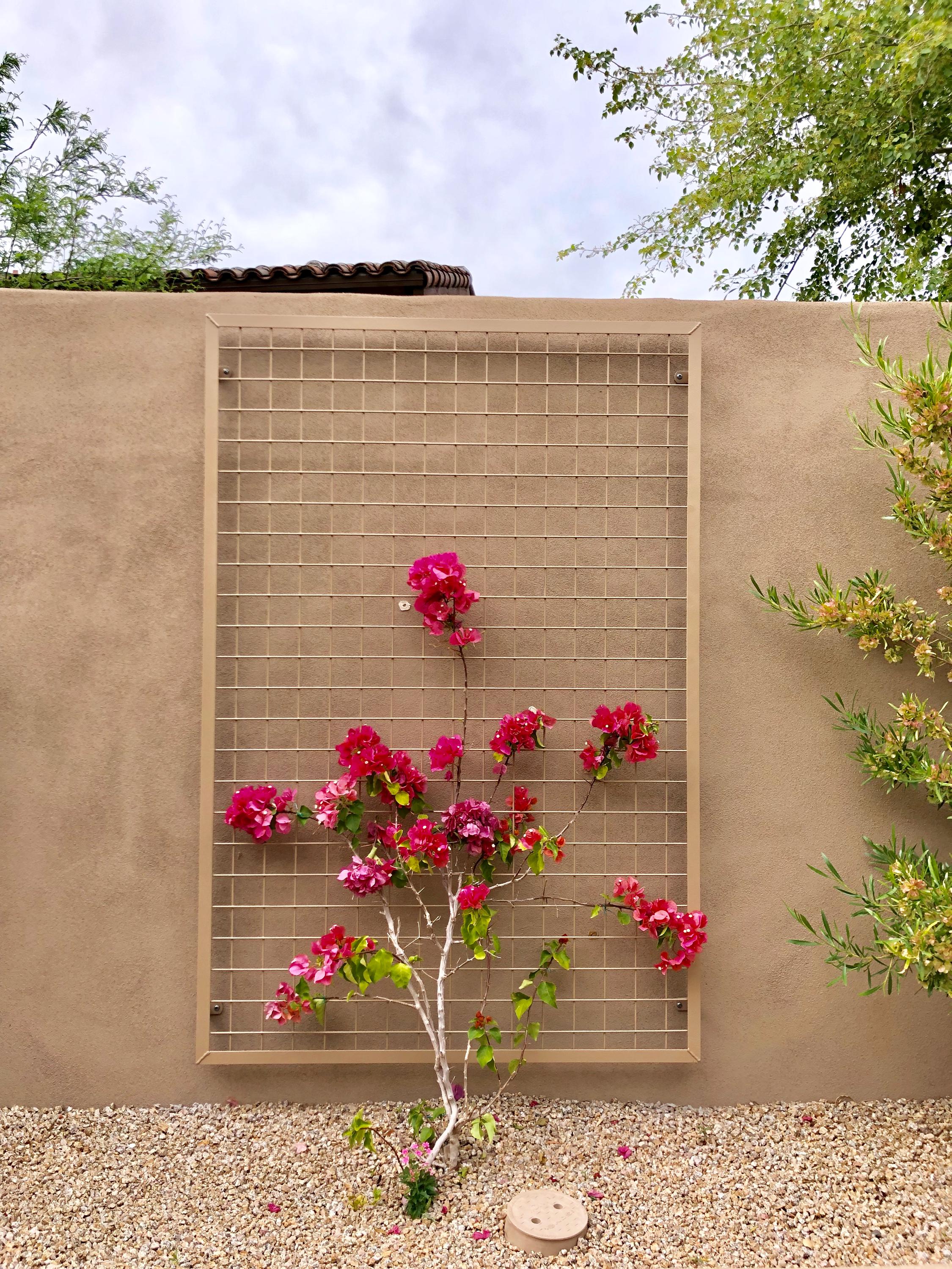 Garden Screen Trellis - Etsy
