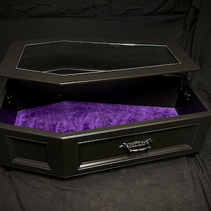 Coffin Display Coffee Table - Etsy