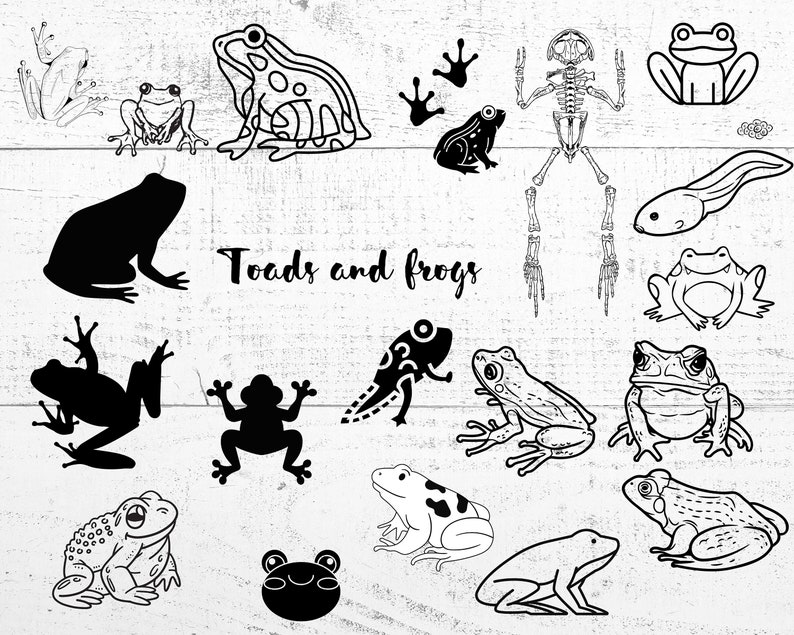 Frog SVG, Frog PNG, Printable, Digital Image, Download - Etsy