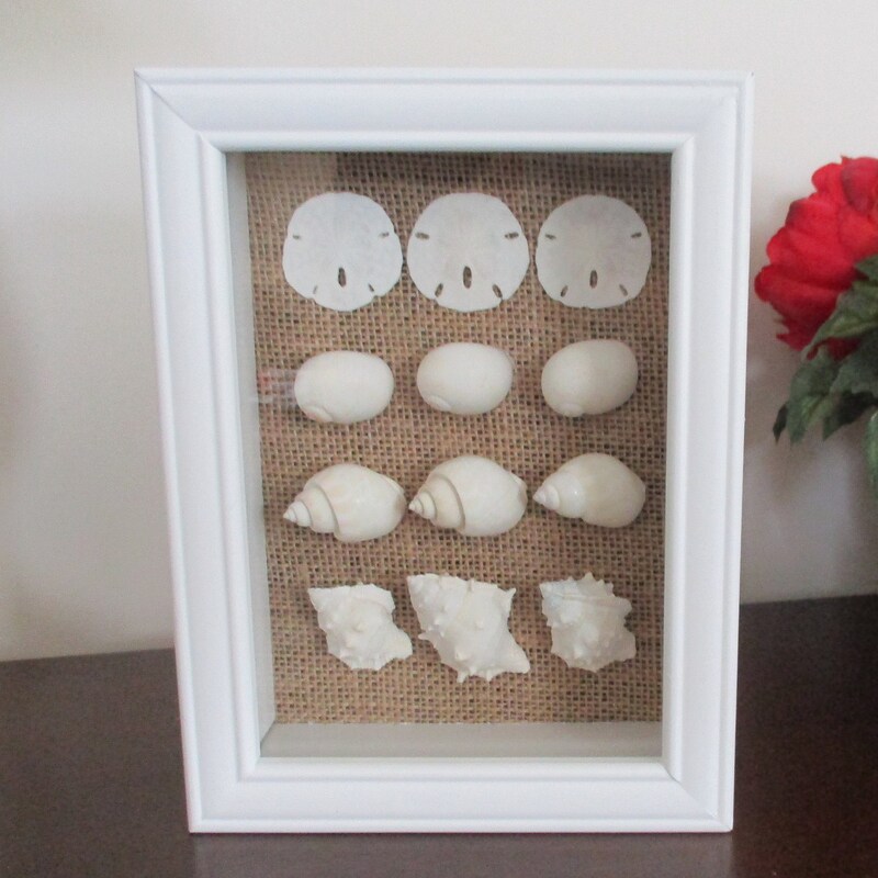 Shell Shadow Box - Etsy