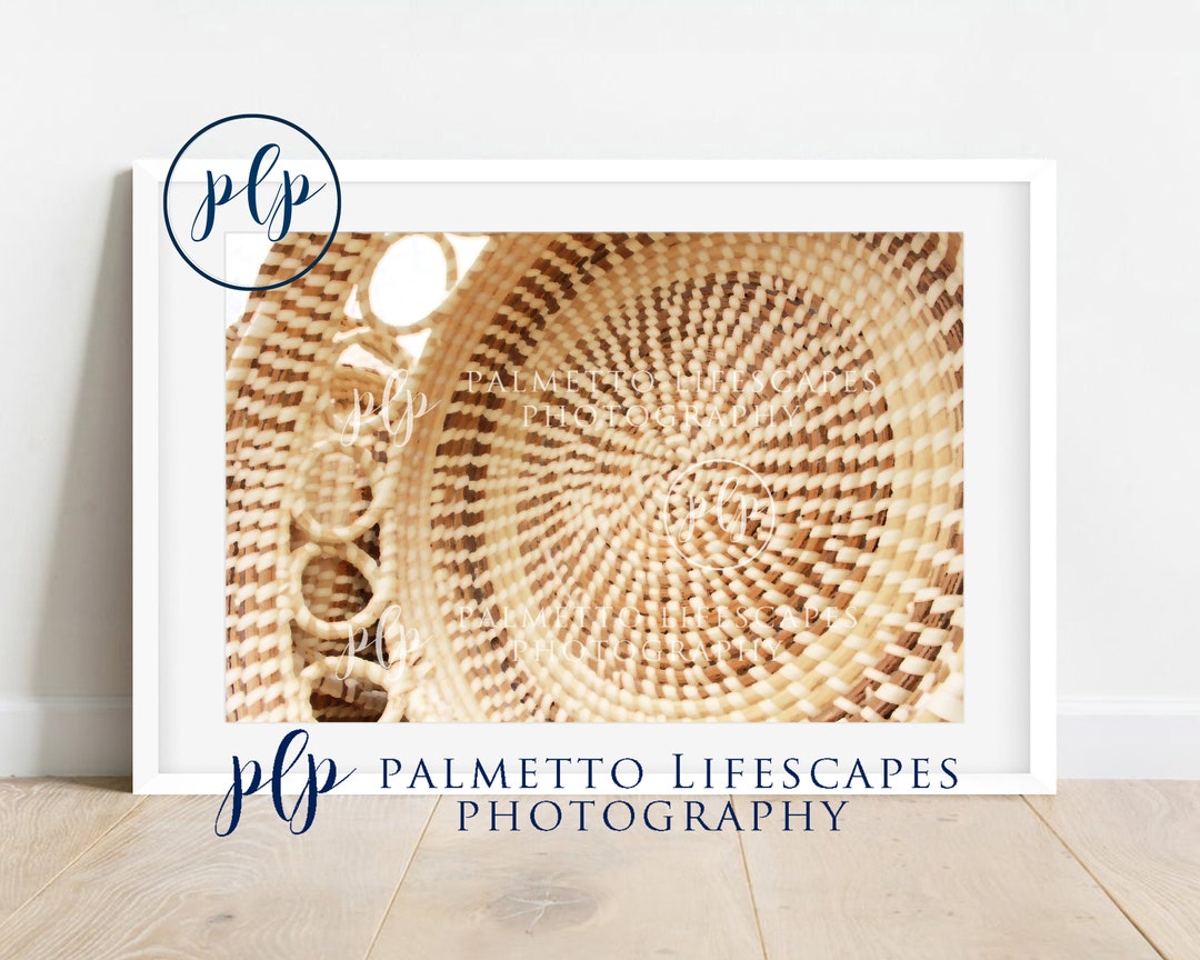 Sweetgrass Watercolor, Sweetgrass, Sweetgrass Baskets, Watercolor ...
