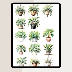 Plant Digital STICKERS, Goodnotes Sticker Boho, Botanical Stickers ...