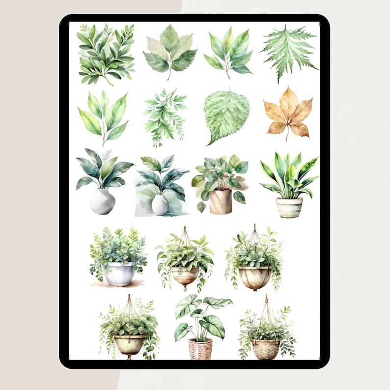Plant Digital STICKERS, Goodnotes Sticker Boho, Botanical Stickers ...