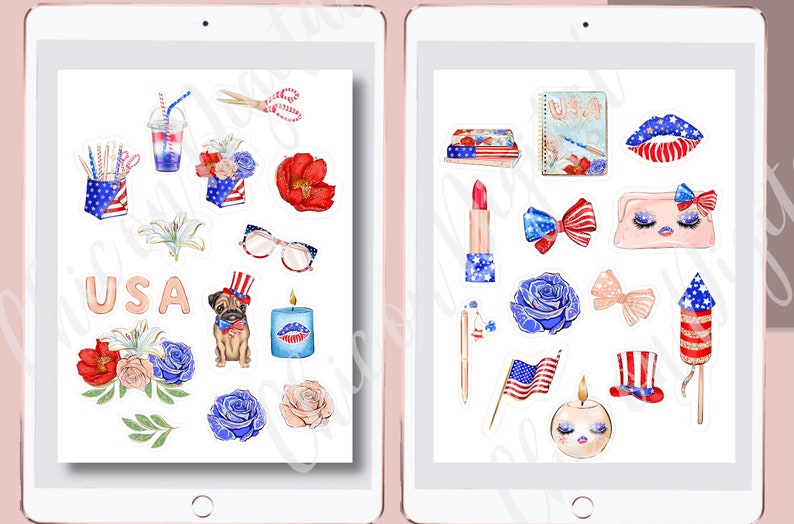 JULY MONTHLY KIT Digital Stickers July 4th Goodnotes Planner - Etsy