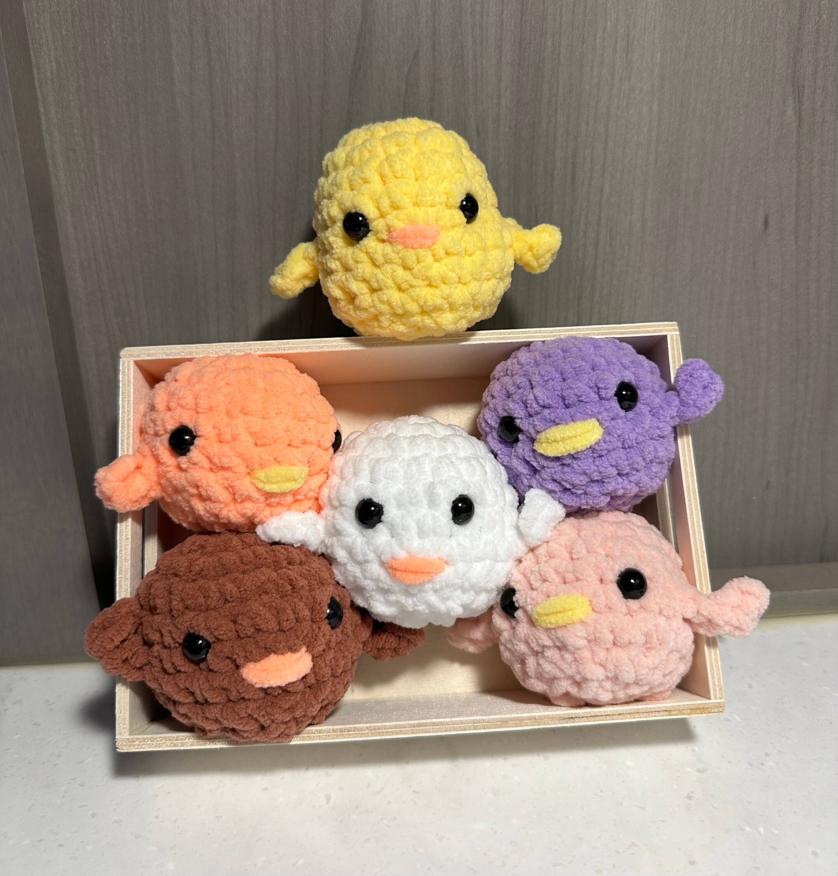 Baby Chicks Multiple Colored Mini Chickens Easter or Baby Shower Gift ...