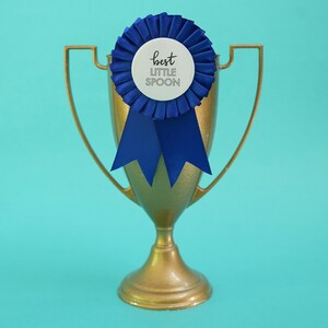CUSTOM Satin Award Ribbon - Single Tail - Etsy