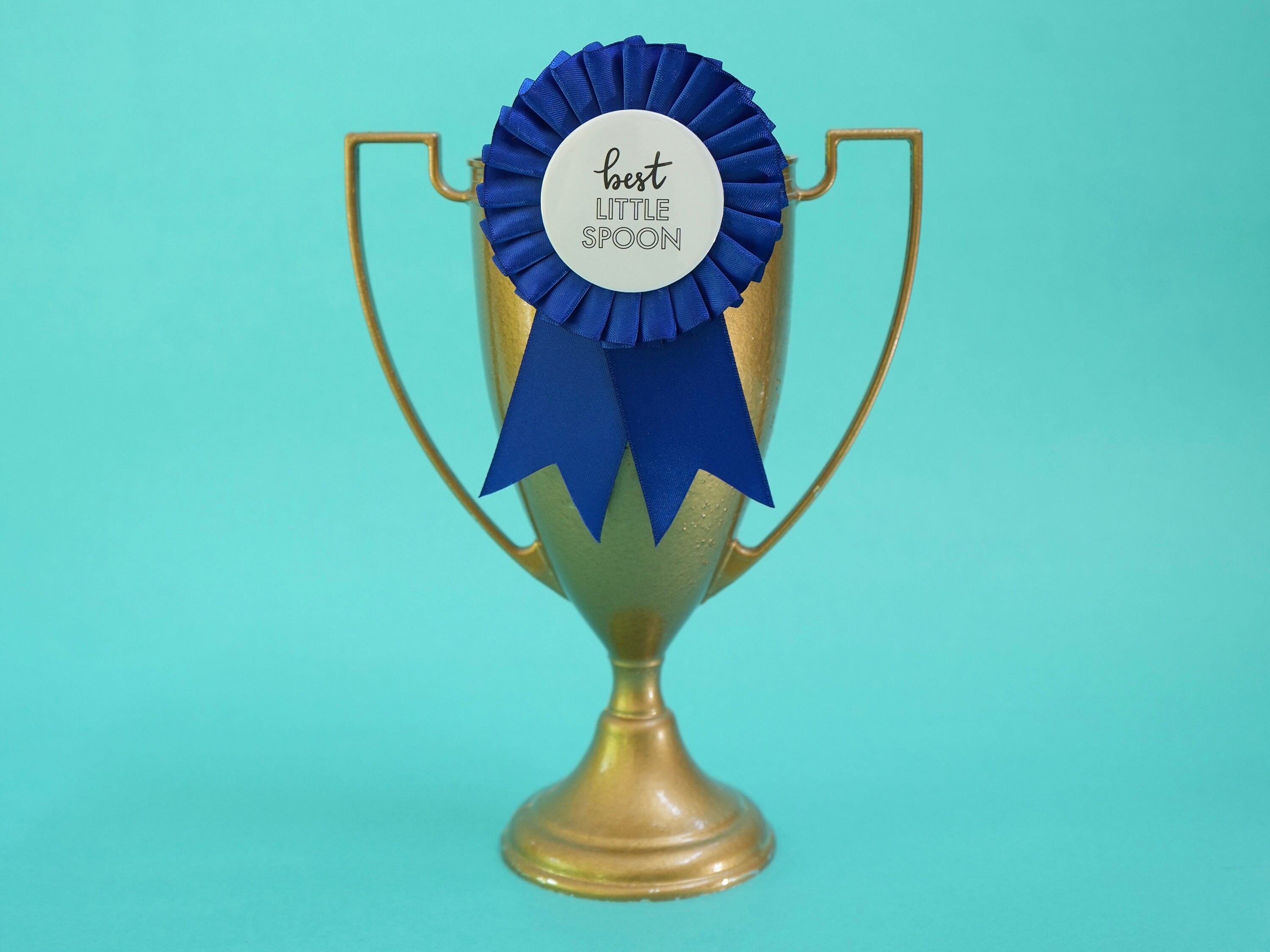 Promoted to Big Brother Satin Award Ribbon - Etsy
