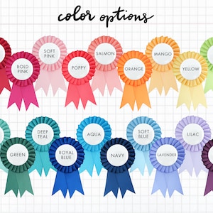 Class of 2025 Graduate Satin Award Ribbon - Etsy