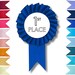 1st Place Satin Award Ribbon - Etsy